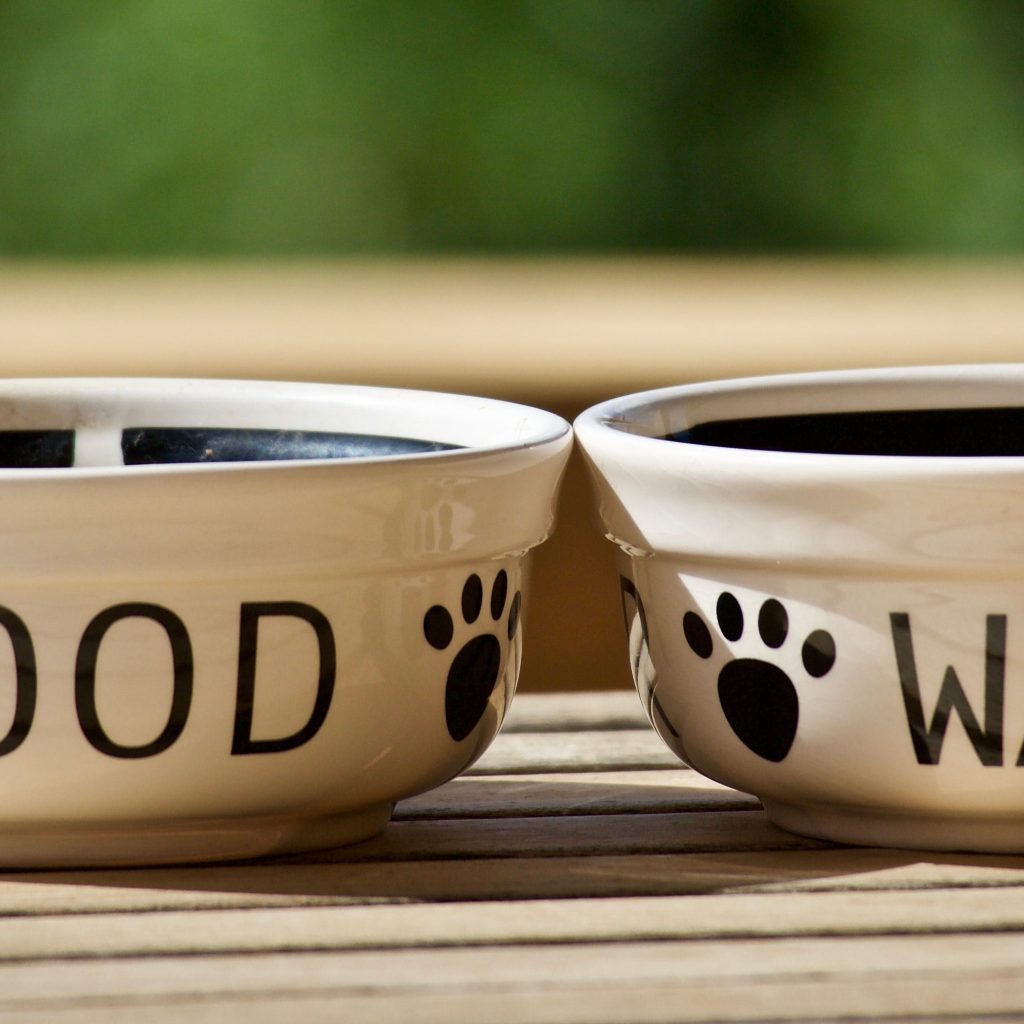 Food And Water Bowls | Kooky Pugs