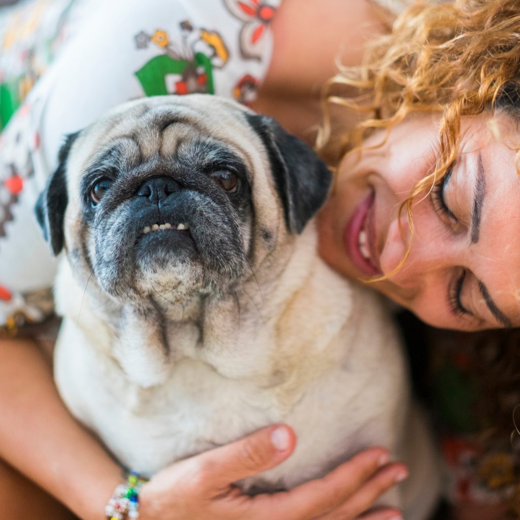 Pug Life For Forever Pug Parents And Pug Peeps! | Kooky Pugs