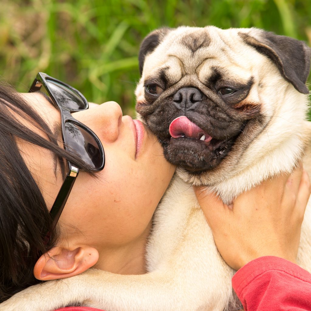 Woman & Pug | Kooky Pugs